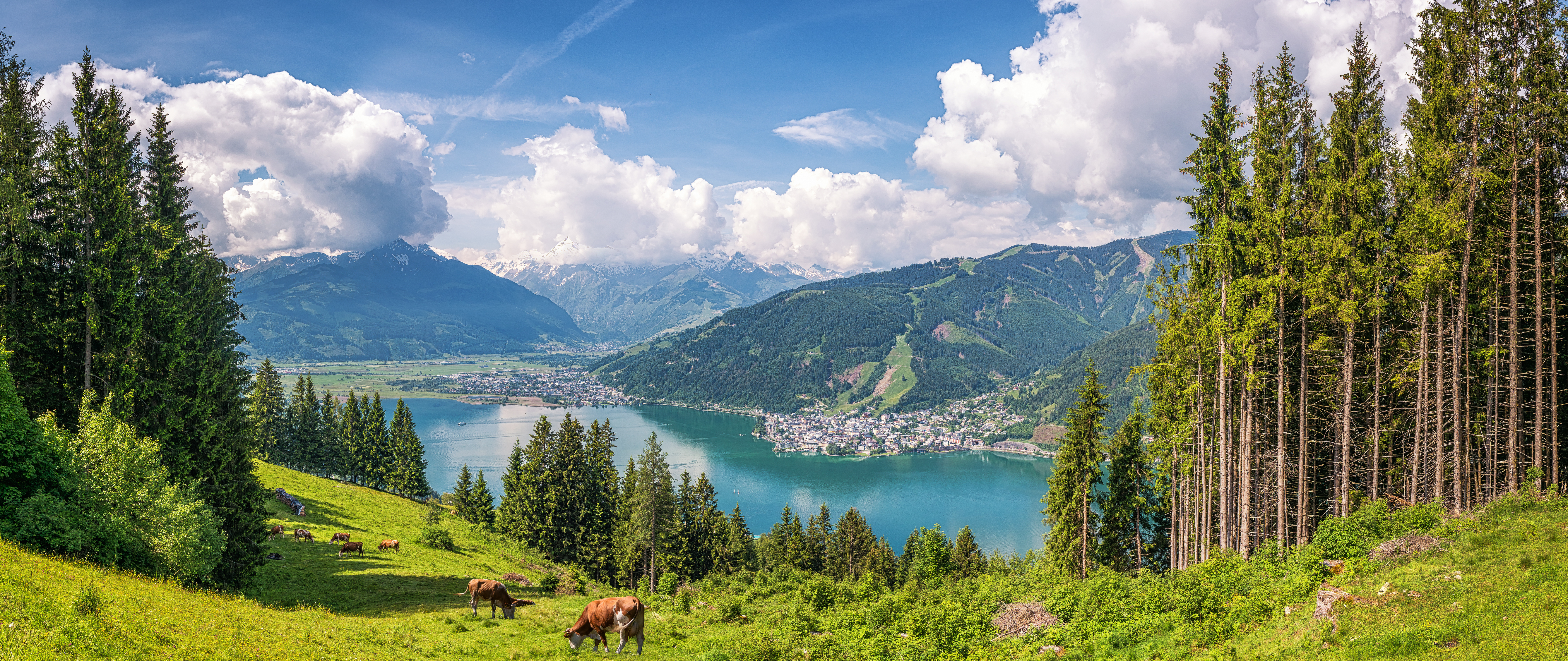 Coach Holidays to Austria | Austria Holidays | Shearings