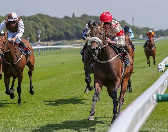 Haydock: A Day at the Races | Shearings