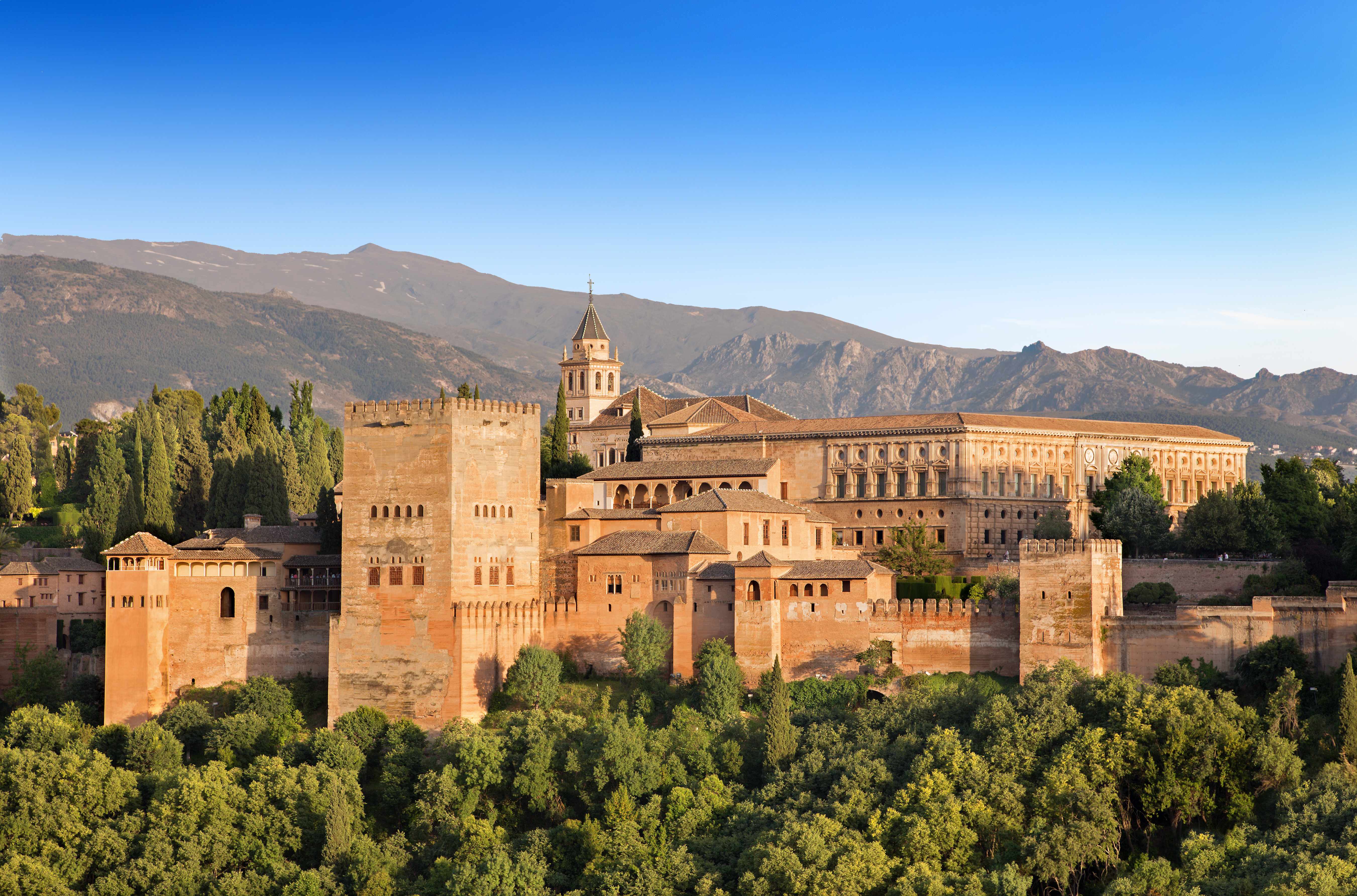 Classical Spain - Shearings