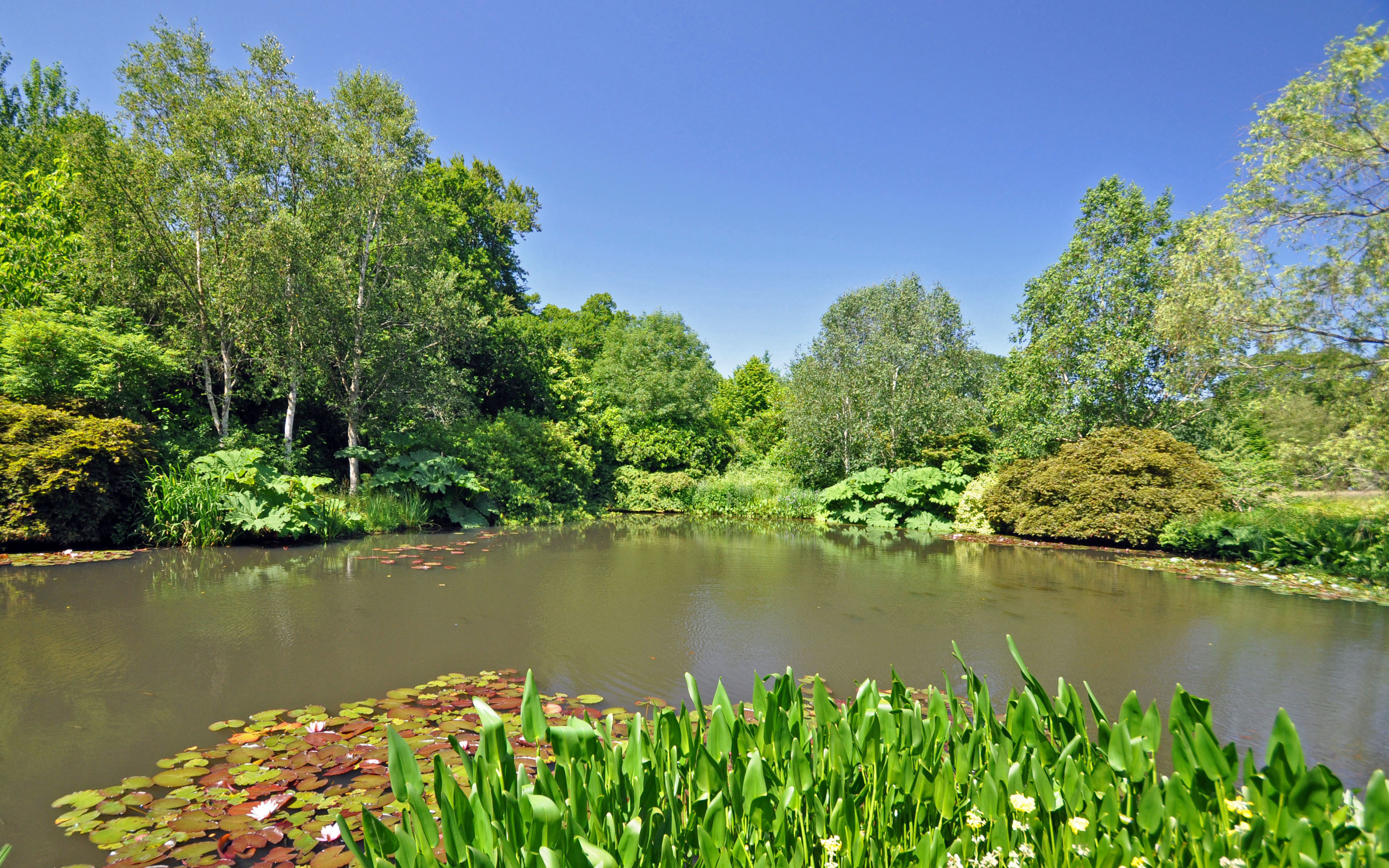 North Devon and RHS Rosemoor - Shearings